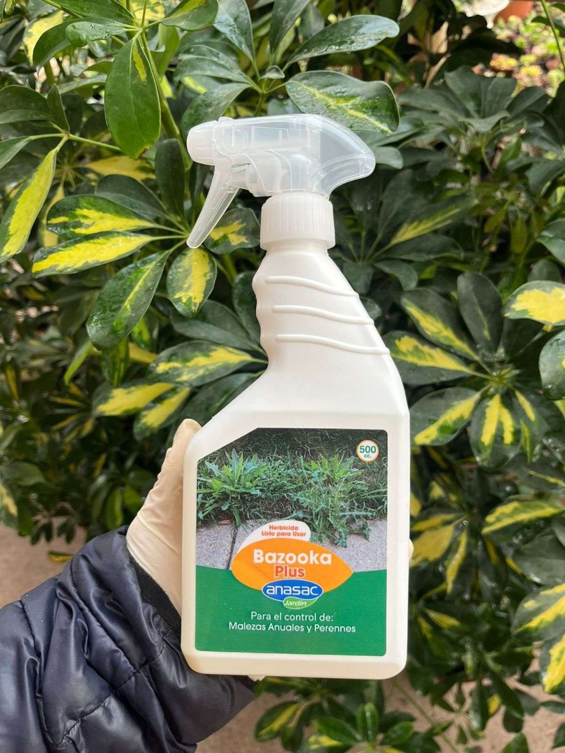 HERBICIDA BAZOOKA – Vivero de los Reyes