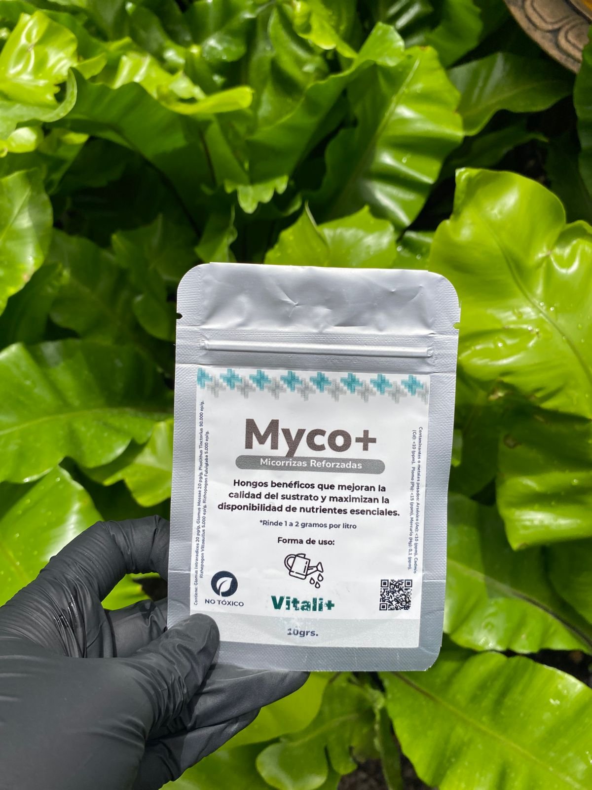 MYCO+ – Vivero de los Reyes